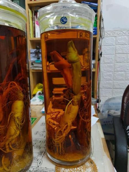 鹿鞭泡酒方法_鹿鞭泡酒比例是多少-第3张图片-山城妙识