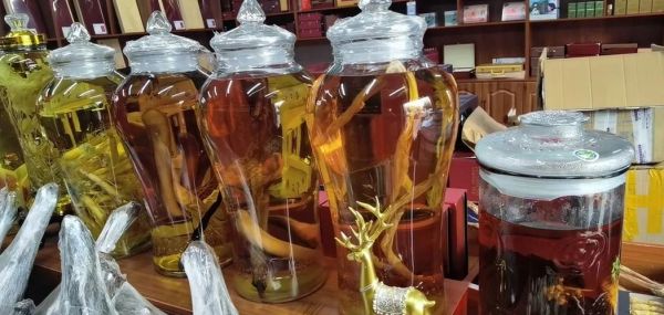 鹿鞭泡酒方法_鹿鞭泡酒比例是多少-第2张图片-山城妙识