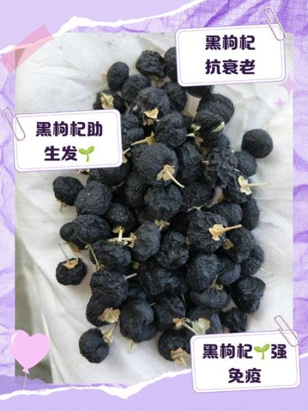 黑枸杞对男性性功能有效吗_男人吃黑枸杞多久见效-第1张图片-山城妙识 黑枸杞对男性性功能有效吗_男人吃黑枸杞多久见效-第1张图片-山城妙识