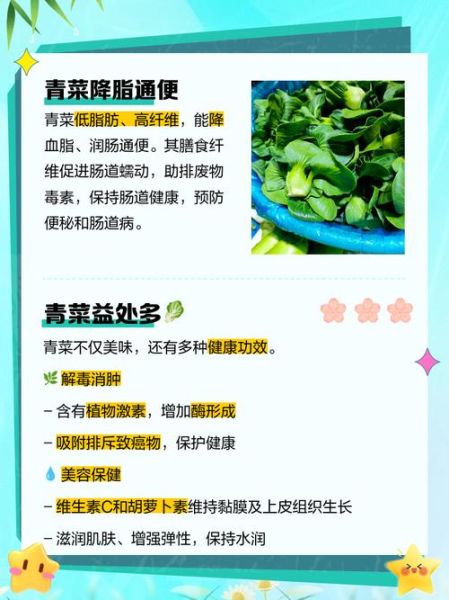 青菜营养价值排名_哪些青菜最健康-第1张图片-山城妙识