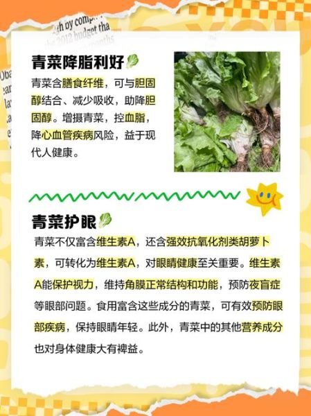 青菜营养价值排名_哪些青菜最健康-第3张图片-山城妙识