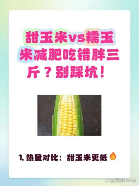 甜玉米热量高还是糯玉米_哪个更适合减肥-第3张图片-山城妙识 甜玉米热量高还是糯玉米_哪个更适合减肥-第3张图片-山城妙识