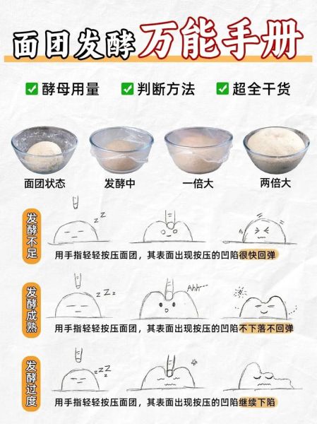 面粉怎么发酵_面粉发酵需要多久-第1张图片-山城妙识 面粉怎么发酵_面粉发酵需要多久-第1张图片-山城妙识
