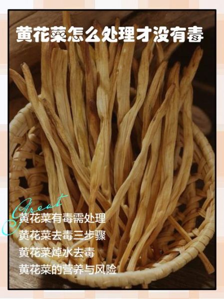 鲜黄花菜含什么毒素_中毒症状有哪些-第3张图片-山城妙识