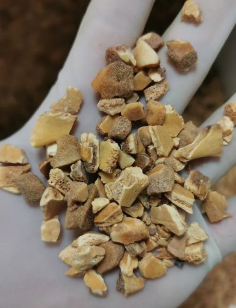 醋鳖甲的功效与作用及禁忌_醋鳖甲哪些人不能吃-第1张图片-山城妙识