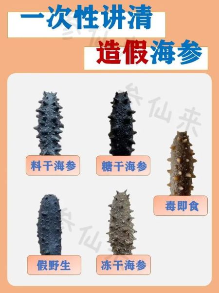 人造海参是什么做的_人造海参和真海参区别-第1张图片-山城妙识