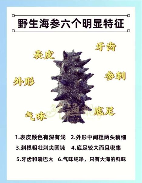 人造海参是什么做的_人造海参和真海参区别-第2张图片-山城妙识