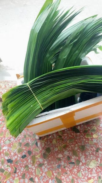 马蹄粉怎么吃_马蹄粉做法大全-第3张图片-山城妙识