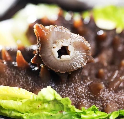 人造海参是什么做的_人造海参和真海参区别-第3张图片-山城妙识