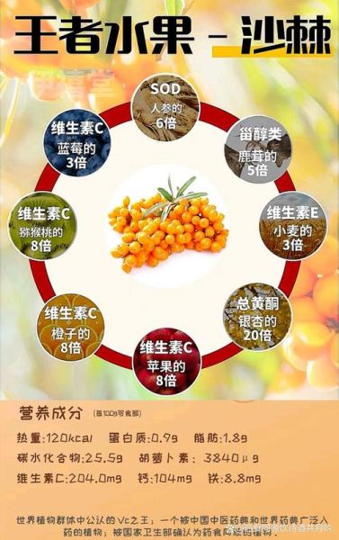 沙棘果有什么功效_沙棘果怎么吃效果最好-第1张图片-山城妙识