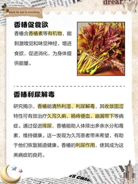 香椿是什么_香椿的功效与作用-第1张图片-山城妙识