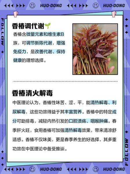 香椿是什么_香椿的功效与作用-第2张图片-山城妙识