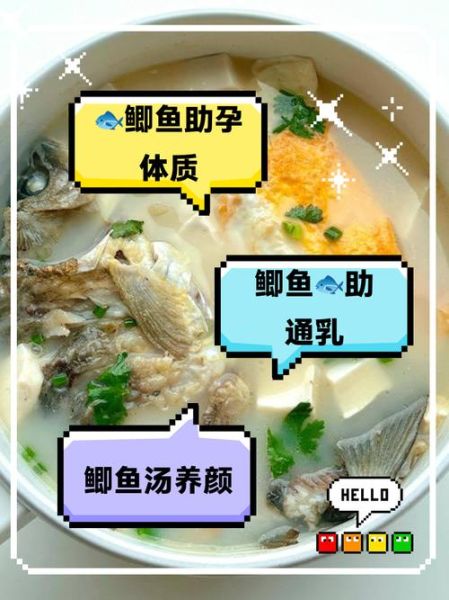鲫鱼汤孕妇可以喝吗_孕妇喝鲫鱼汤的好处与禁忌-第2张图片-山城妙识