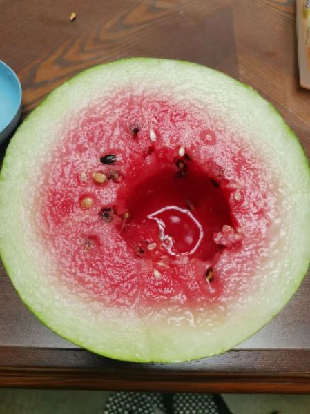 西瓜皮热量高吗_西瓜皮营养价值有哪些-第2张图片-山城妙识