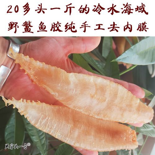 鳘鱼胶的功效与作用_鳘鱼胶多少钱一斤-第2张图片-山城妙识