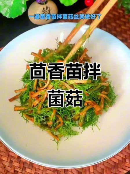 茴香苗怎么吃最好_茴香苗的做法大全-第1张图片-山城妙识 茴香苗怎么吃最好_茴香苗的做法大全-第1张图片-山城妙识