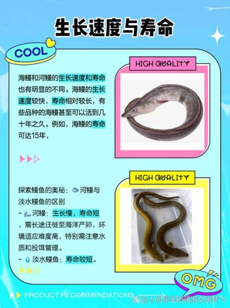鳗鲡鱼图片_如何分辨野生与养殖-第1张图片-山城妙识