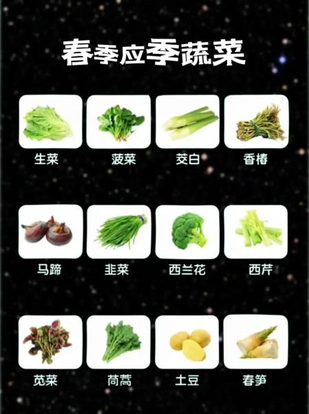 常见蔬菜有哪些_蔬菜名称大全-第3张图片-山城妙识