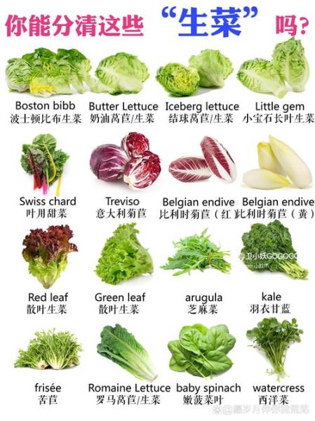 常见蔬菜有哪些_蔬菜名称大全-第1张图片-山城妙识