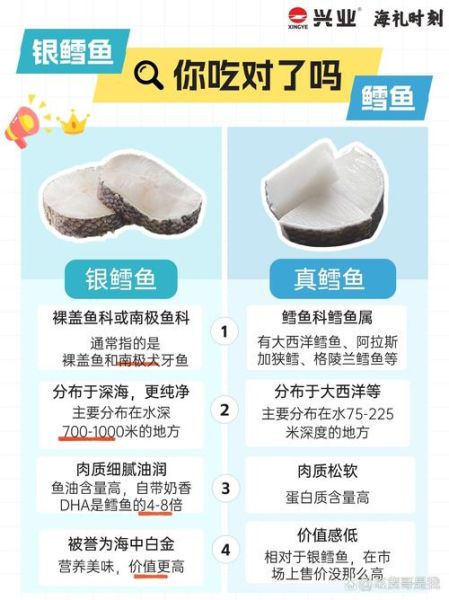 鳕鱼与银鳕鱼哪个更营养_鳕鱼银鳕鱼营养区别-第2张图片-山城妙识