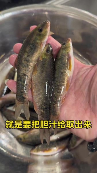 油鱼是什么梗_油鱼吃了会拉肚子吗-第2张图片-山城妙识