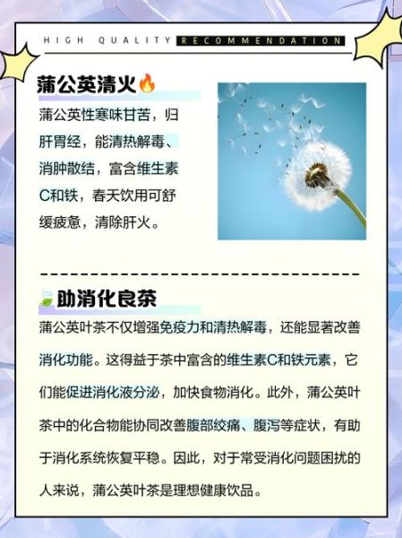 蒲公英泡水喝的害处_长期饮用有哪些副作用-第1张图片-山城妙识 蒲公英泡水喝的害处_长期饮用有哪些副作用-第1张图片-山城妙识