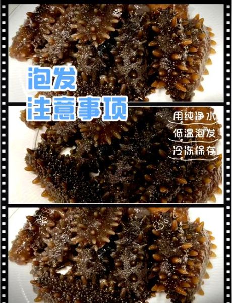 鲜海参怎么泡发_鲜海参的家常做法视频-第3张图片-山城妙识 鲜海参怎么泡发_鲜海参的家常做法视频-第3张图片-山城妙识