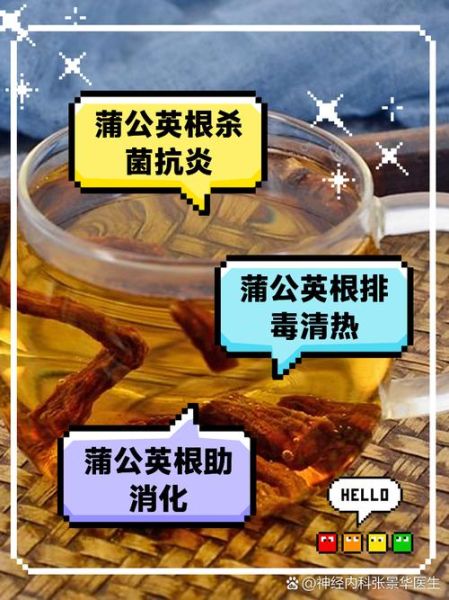 蒲公英泡水喝的害处_长期饮用有哪些副作用-第3张图片-山城妙识 蒲公英泡水喝的害处_长期饮用有哪些副作用-第3张图片-山城妙识