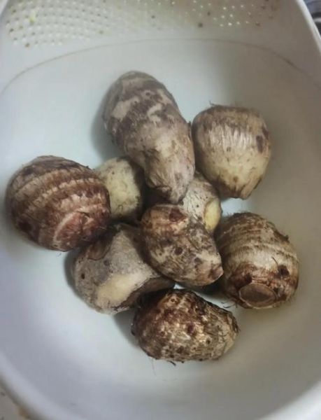 红烧芋头怎么做_芋头软糯不糊锅技巧-第3张图片-山城妙识 红烧芋头怎么做_芋头软糯不糊锅技巧-第3张图片-山城妙识