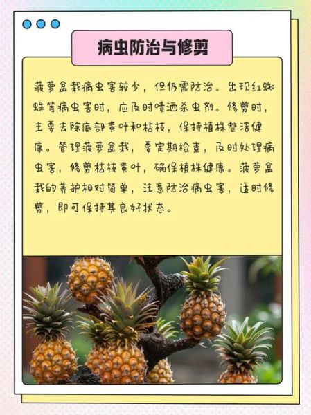 菠萝怎么种_菠萝种植方法和注意事项-第1张图片-山城妙识 菠萝怎么种_菠萝种植方法和注意事项-第1张图片-山城妙识