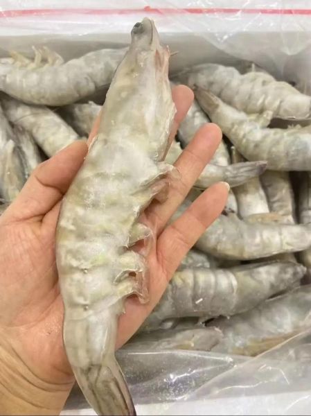 青虾多少钱一斤_青虾价格行情-第3张图片-山城妙识