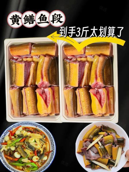 黄鳝鱼怎么杀_黄鳝宰杀技巧-第3张图片-山城妙识 黄鳝鱼怎么杀_黄鳝宰杀技巧-第3张图片-山城妙识