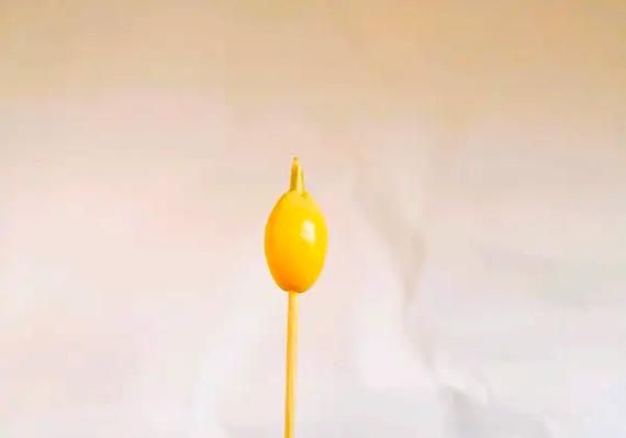 干炒白果怎么炒好吃_白果去芯技巧-第1张图片-山城妙识