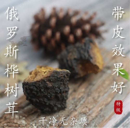 桦树茸多少钱一斤_桦树茸价格影响因素-第3张图片-山城妙识 桦树茸多少钱一斤_桦树茸价格影响因素-第3张图片-山城妙识