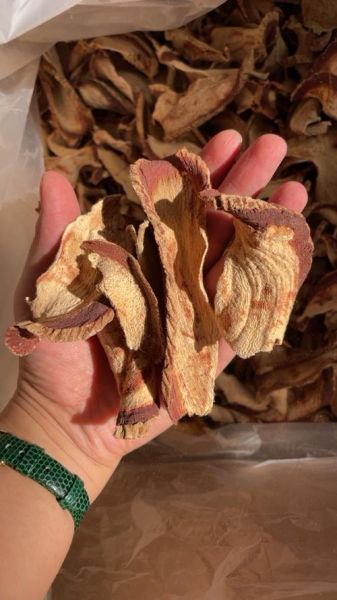 葛根价格多少一斤_葛根多少钱一斤2024最新行情-第3张图片-山城妙识 葛根价格多少一斤_葛根多少钱一斤2024最新行情-第3张图片-山城妙识