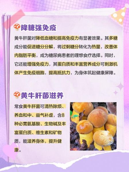 黄牛肝菌有毒吗_如何安全食用-第1张图片-山城妙识