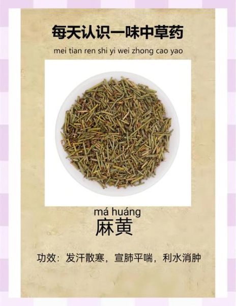 麻黄的功效与作用_麻黄有什么副作用-第3张图片-山城妙识