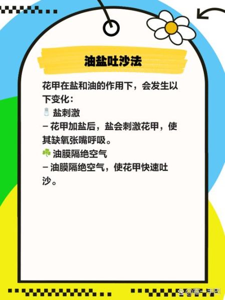 花甲内脏屎怎么清理_花甲去沙去内脏图解-第1张图片-山城妙识