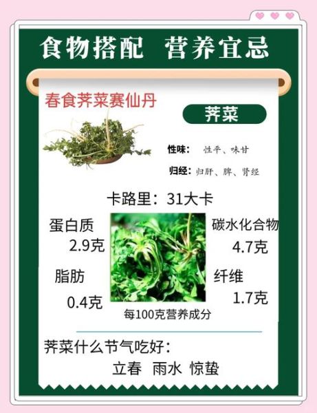 荠荠菜的功效与作用_荠荠菜怎么吃最营养-第1张图片-山城妙识
