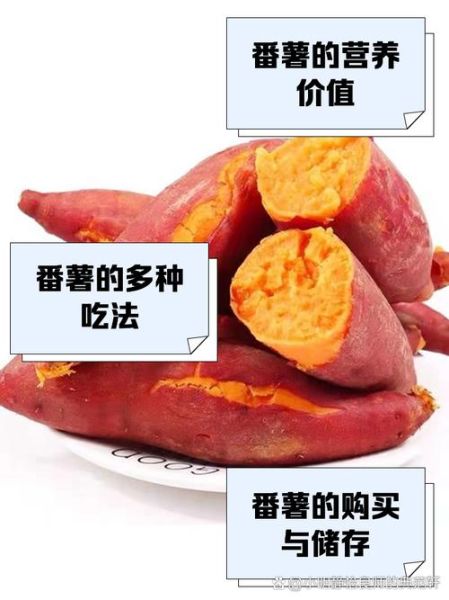 最甜红薯品种排名_哪个品种最好吃-第2张图片-山城妙识 最甜红薯品种排名_哪个品种最好吃-第2张图片-山城妙识