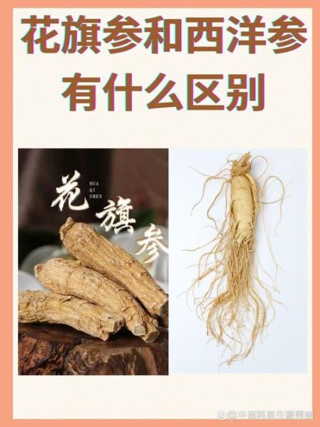 花旗参与西洋参的区别_哪个更好-第1张图片-山城妙识