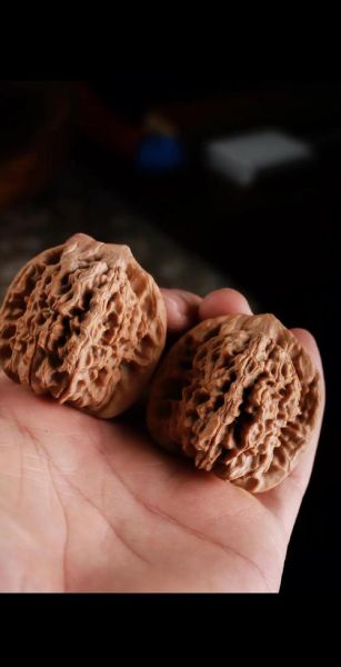 马蹄狮子头核桃是什么_如何挑选-第1张图片-山城妙识