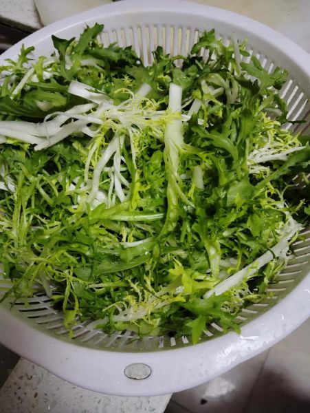 苦菊图片高清_苦菊怎么做好吃-第3张图片-山城妙识