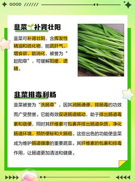 韭菜的功效与作用_韭菜怎么吃最健康-第2张图片-山城妙识 韭菜的功效与作用_韭菜怎么吃最健康-第2张图片-山城妙识