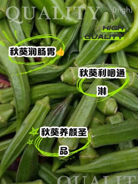 秋葵籽的功效与禁忌_秋葵籽怎么吃才安全-第3张图片-山城妙识 秋葵籽的功效与禁忌_秋葵籽怎么吃才安全-第3张图片-山城妙识