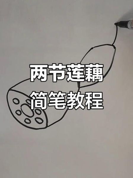 藕片简笔画怎么画_藕片简笔画步骤-第3张图片-山城妙识 藕片简笔画怎么画_藕片简笔画步骤-第3张图片-山城妙识