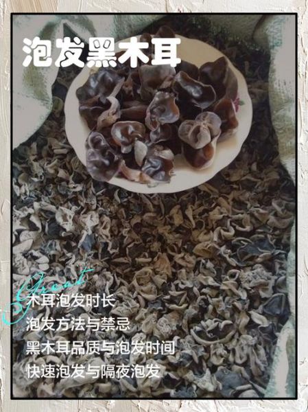 黑木耳泡多久_黑木耳泡发时间多久-第3张图片-山城妙识 黑木耳泡多久_黑木耳泡发时间多久-第3张图片-山城妙识