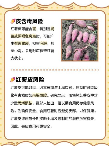 红薯皮的功效与作用_红薯皮可以吃吗-第1张图片-山城妙识