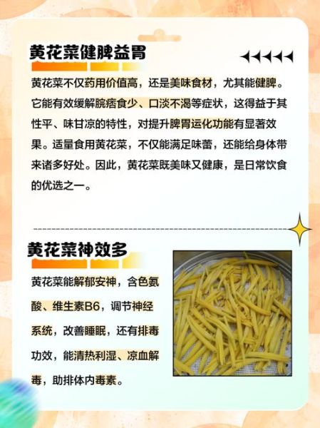 黄花菜有毒吗_怎么吃才安全-第1张图片-山城妙识 黄花菜有毒吗_怎么吃才安全-第1张图片-山城妙识