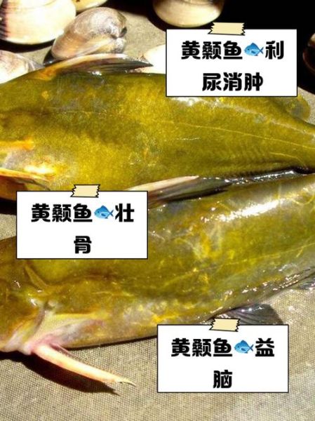 黄颡鱼的功效与禁忌_什么人不能吃-第1张图片-山城妙识